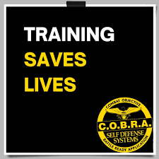 Home - cobradefensepensacola.com